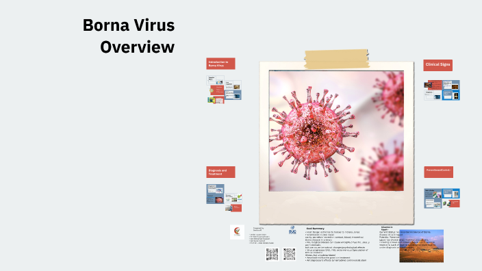 Understanding Borna Virus by Mohamed Taher on Prezi