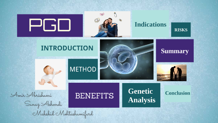 PGD overview by Amir Abrishami on Prezi