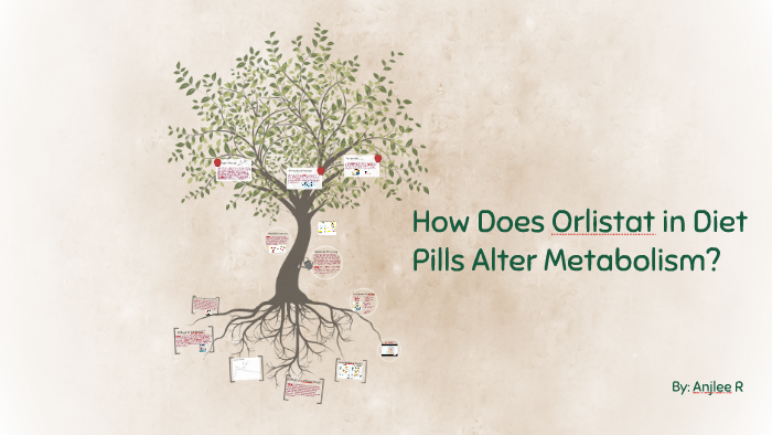 How Does Orlistat in Diet Pills Alter Metabolism? by Anjlee R on Prezi