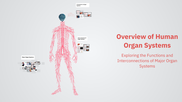 Overview of Human Organ Systems by Iris Banks on Prezi