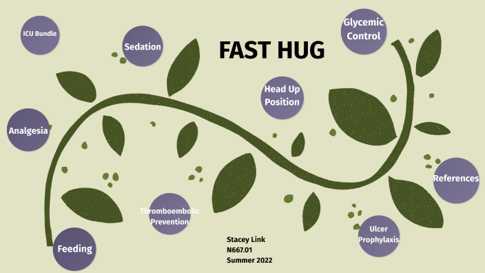 FAST HUG by Stacey Link on Prezi