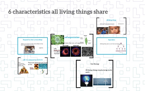 6 characteristics all living things share by gok arou