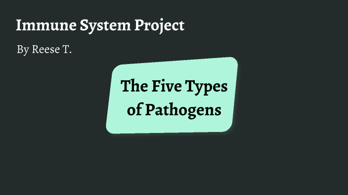 Immune System Project by Reese Tetreault on Prezi