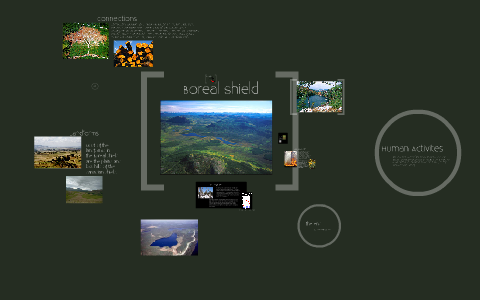 Boreal Shield by Alana Toms on Prezi