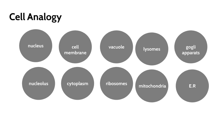 Cell Analogy by Connor Burbridge on Prezi