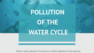 Infographic: Pollution of the Water Cycle by ANA GABRIELA GARCÍA ...