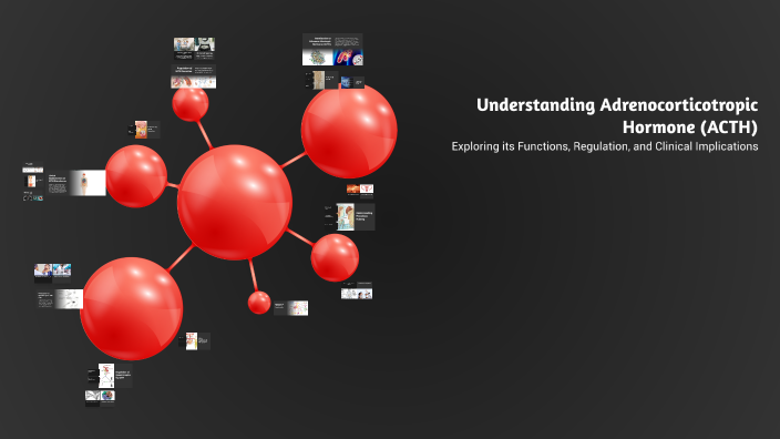 Understanding Adrenocorticotropic Hormone (ACTH) by Sajida Alshafe on Prezi