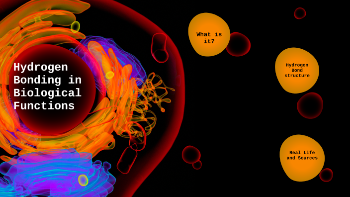 Importance of hydro bonding by cole legg on Prezi