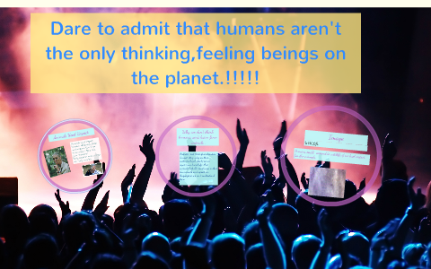 Dare to admit that humans aren't the only thinking,feeling b by The ...