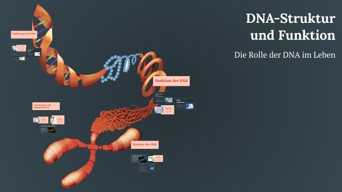 DNA-Struktur und Funktion by Alaa Issa on Prezi