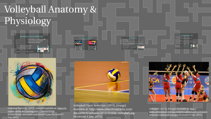 Volleyball Anatomy & Physiology by Gemma Carlsen on Prezi