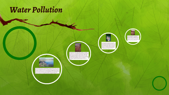 Water pollution Museum Exhibit by Blake Norris on Prezi