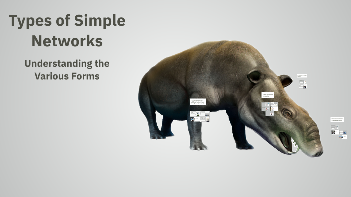 Types of Simple Networks by azizbek abduxoliqov on Prezi
