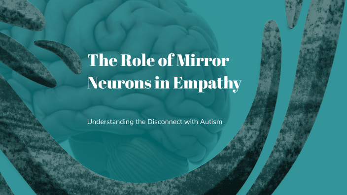 The Role of Mirror Neurons in Empathy by Volodya Kindrat on Prezi