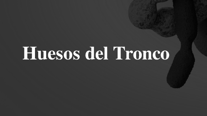 Huesos del Tronco by Galilea Romero Martínez on Prezi