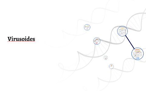 Virusoides by beto lozano on Prezi