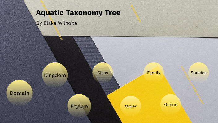 Aquatic Taxonomy Tree by Blake Wilhoite on Prezi