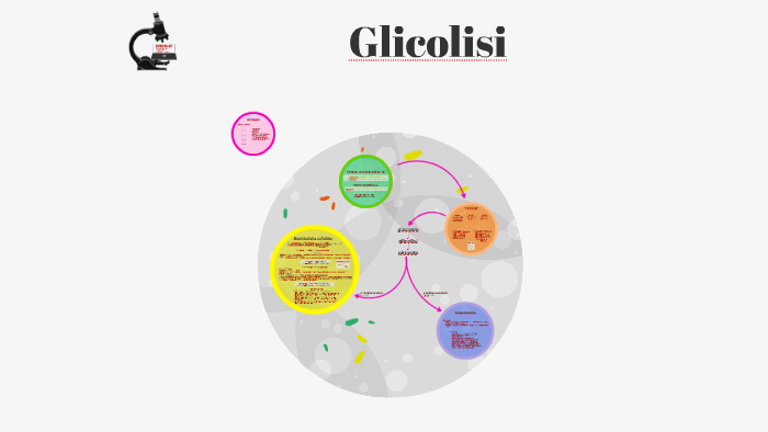 Glicolisi by Beatrice Gasparotto on Prezi