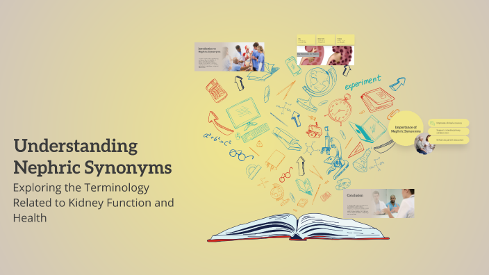 Understanding Nephric Synonyms by Ikeh Emmanuel on Prezi