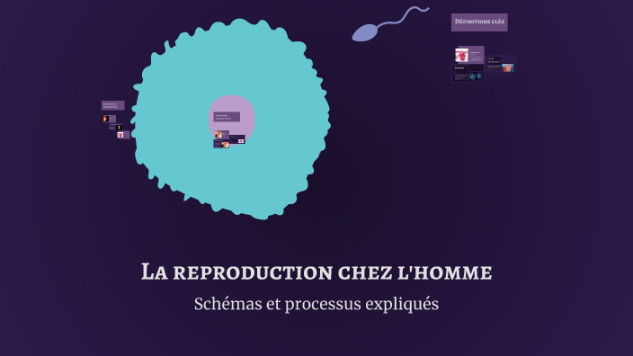 La reproduction chez l'homme by Ziad Kh on Prezi