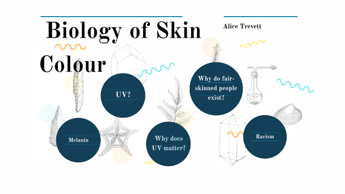 Biology of Skin Colour by Alice Trevett on Prezi