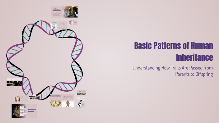 Basic Patterns of Human Inheritance by Sara Al mazrouei on Prezi