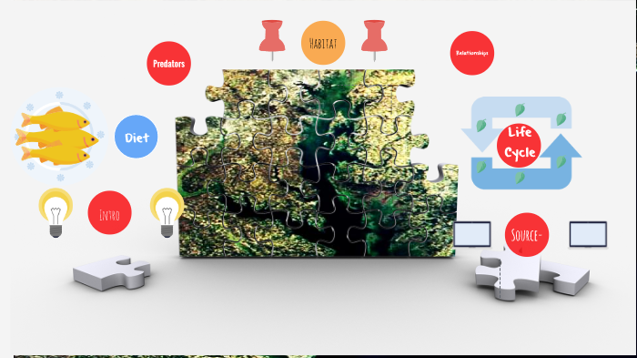 Creature Feature Project by RAYMOND DAYANGHIRANG on Prezi
