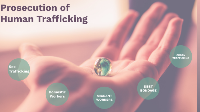 PROSECUTION-HUMAN TRAFFICKING by Bria Quarles-Harris on Prezi