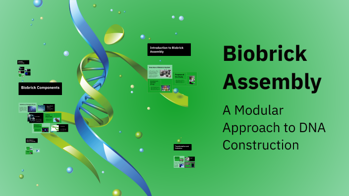 Biobrick Assembly by lorenzo mancuso on Prezi