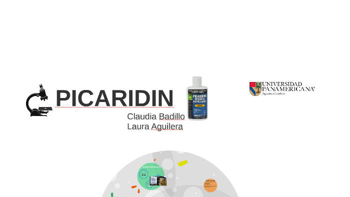 PICARIDINA by Laura Aguilera on Prezi