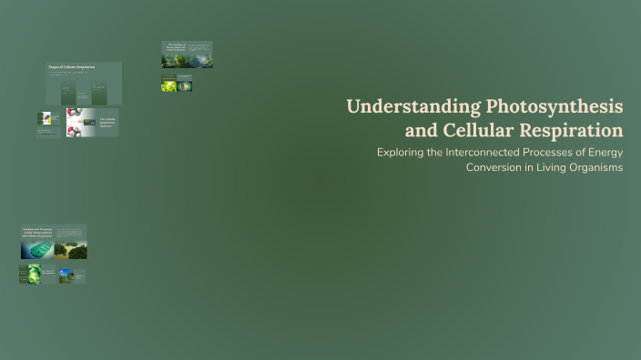 Understanding Photosynthesis and Cellular Respiration by Chelle ...