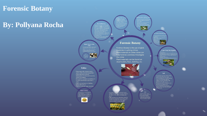 Forensic Botany by Pollyana Rocha on Prezi