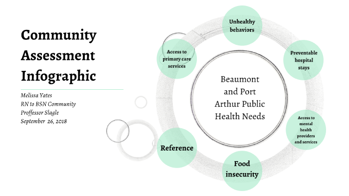 Community Assessment Infographic by Melissa Yates on Prezi