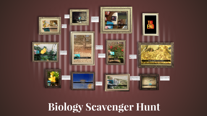 Honors Biology project - scavenger hunt by Geneva Pearson on Prezi