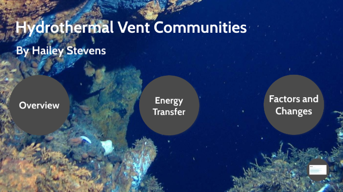 Hydrothermal Vent Communities by Hailey S