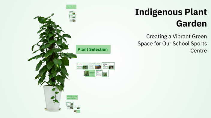 Indigenous Plant Garden by Harisanth Hutchinson on Prezi