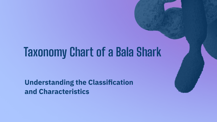 Taxonomy Chart of a Bala Shark by Madison Leonard on Prezi
