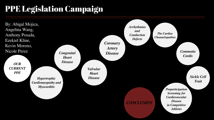 PPE Legislation Campaign by Angelina Wang on Prezi