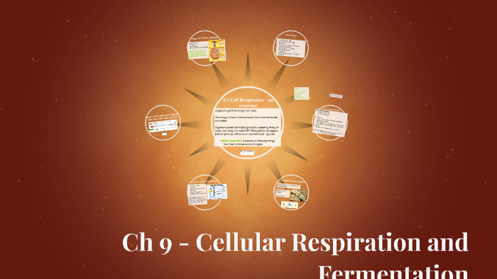 Ch 9 - Cellular Respiration and Fermentation by on Prezi