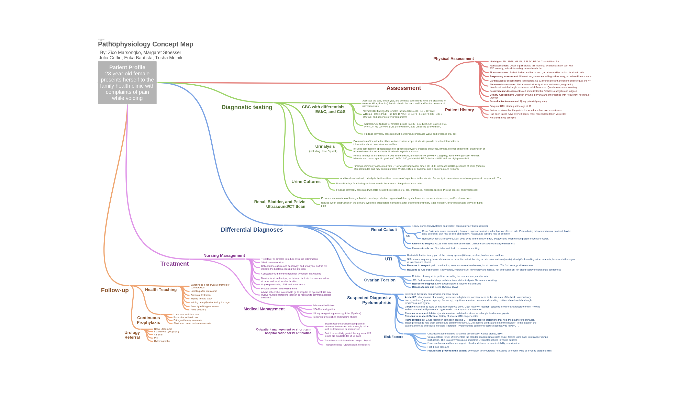 Pathophysiology Concept Map by margaret stoesser on Prezi