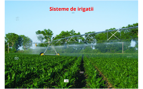Sisteme de irigatii by Andrei Dobrin on Prezi