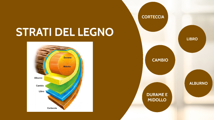IL LEGNO by Alessia De Angelis on Prezi