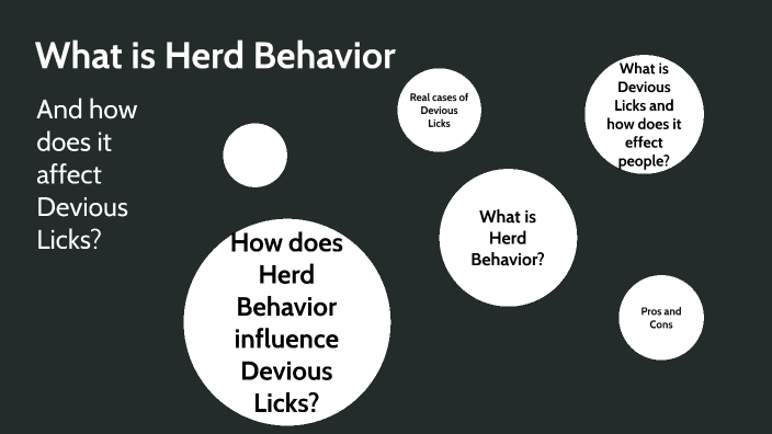 What is Herd Behavior and how does it affect Devious Licks by Brodie ...