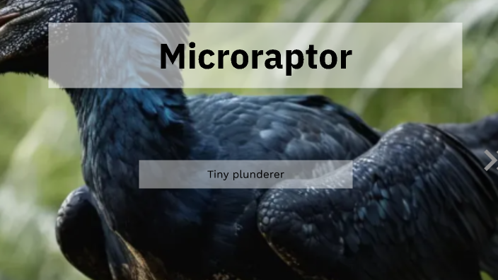 by LILLY DICKENS on Prezi