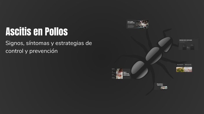 Ascitis en Pollos by Ivan Chamorro on Prezi