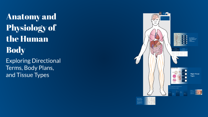 Anatomy and Physiology of the Human Body by Joy Mudimbi on Prezi