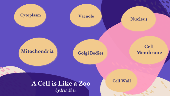 A Cell Is like a Zoo - Iris Shen by Iris Shen on Prezi