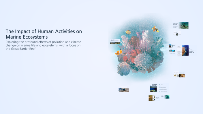 The Impact of Human Activities on Marine Ecosystems by Aiden Lee on Prezi