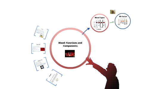 Blood Components and Functions by Monique B