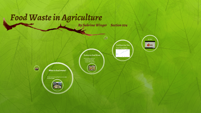 Food Waste in Agriculture by Sabrina Winger on Prezi